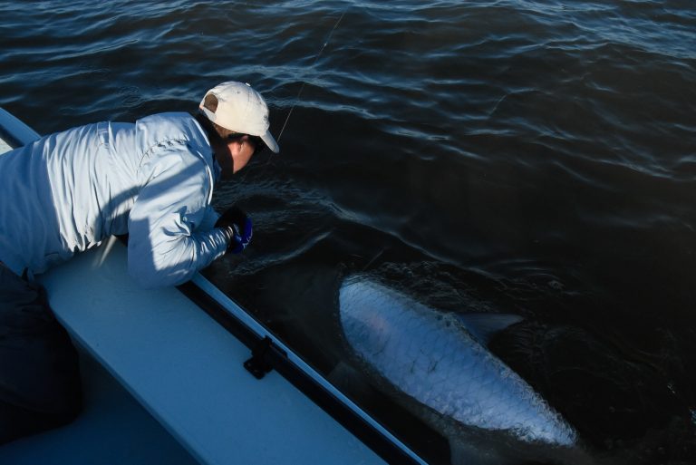 Flamingo Fishing Report - Everglades Fishing Guide